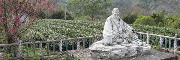 What's Your Experience Of A Fine Brew? Lu Tong Says - Immortality - Eco ...