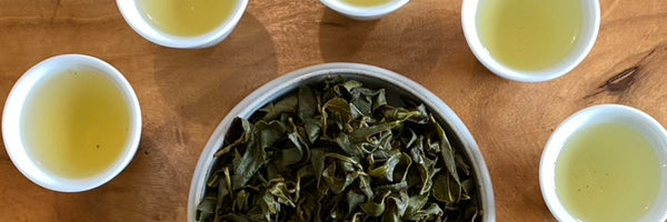 Qi Lai Shan High Mountain Oolong Tea Tasting Notes | Eco-Cha Tea Club ...