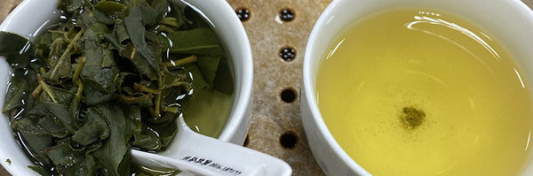 Li Shan High Mountain Oolong Spring Tea Sourcing Trip | Eco-Cha Teas