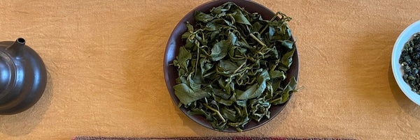 Li Shan High Mountain Oolong Tea Tasting Notes | Eco-Cha Tea Club - Eco ...