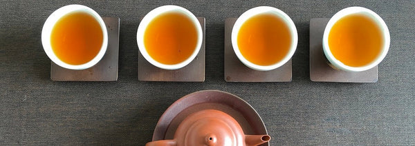 Shui Xian Black Tea Tasting Notes | Eco-Cha Tea Club - Eco-Cha Teas