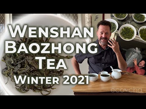 Wenshan Baozhong Tea | Eco-Cha Teas